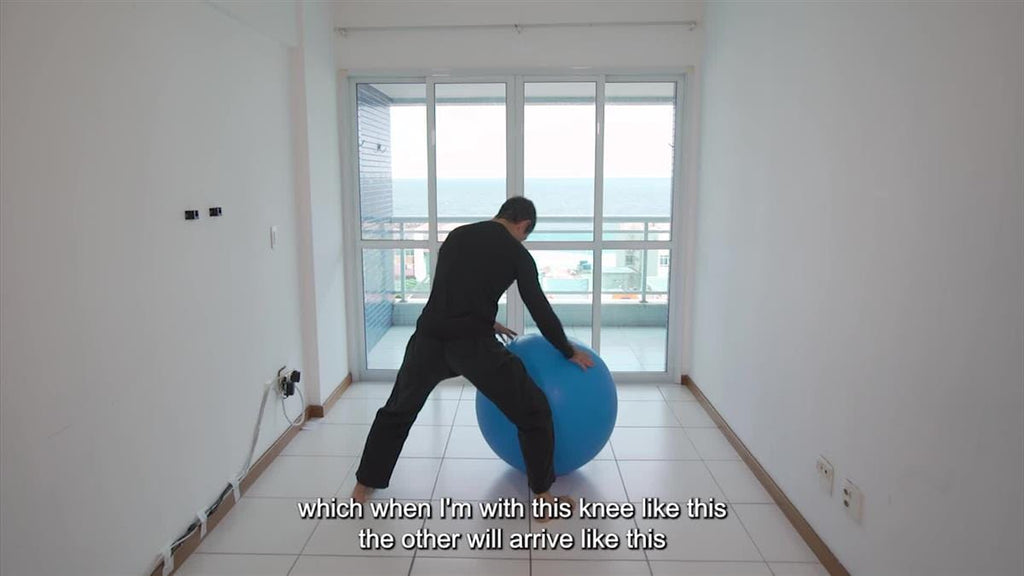 Mobility Ball Encyclopedia vol1: Basic Mobility by Humberto Silveira ...